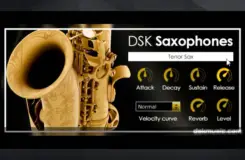 DSK Saxophones - Producer Sphere